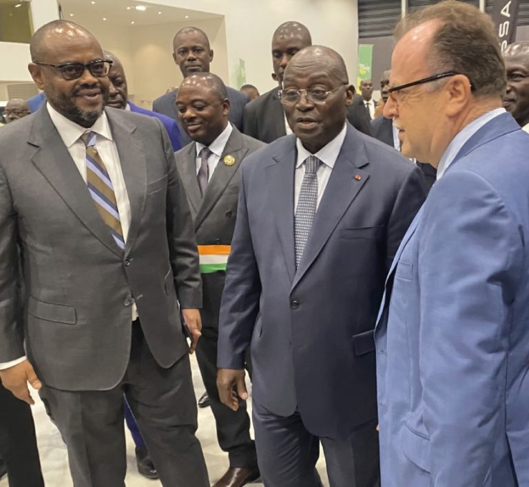 Actualité - RIMCO MOTORS